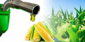 Qué es Flex Fuel: Ventajas y desventajas - Gossip Vehiculos