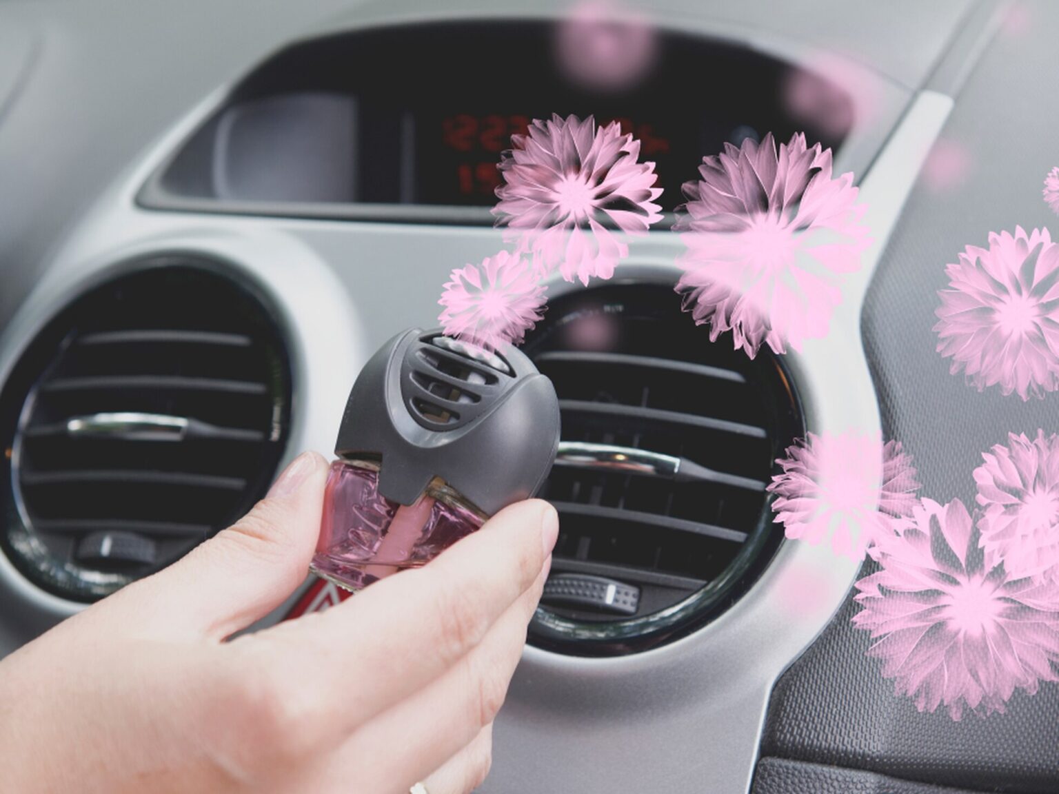 Olores para carros: Los 8 mejores aromatizantes para autos del 2023 ...