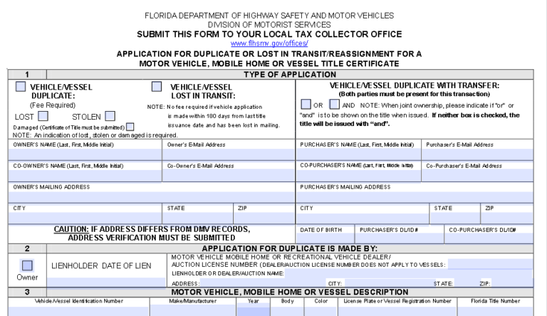 Transferencia de título de carro Florida - Gossip Vehiculos